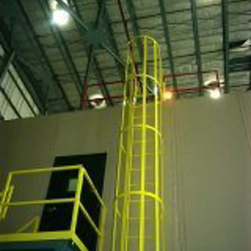 Cage Ladders | Panel Built